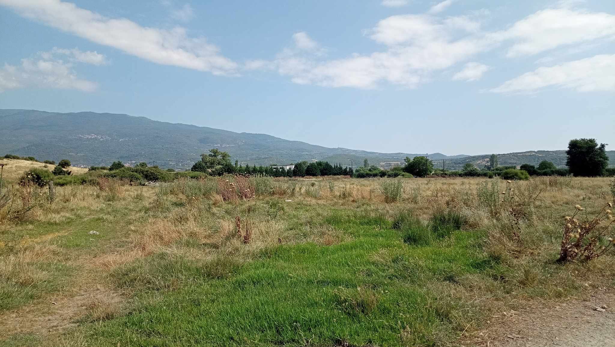 Αντιδρούν κτηνοτρόφοι της Αγιάς στην κατασκευή φωτοβολταϊκού πάρκου σε ...